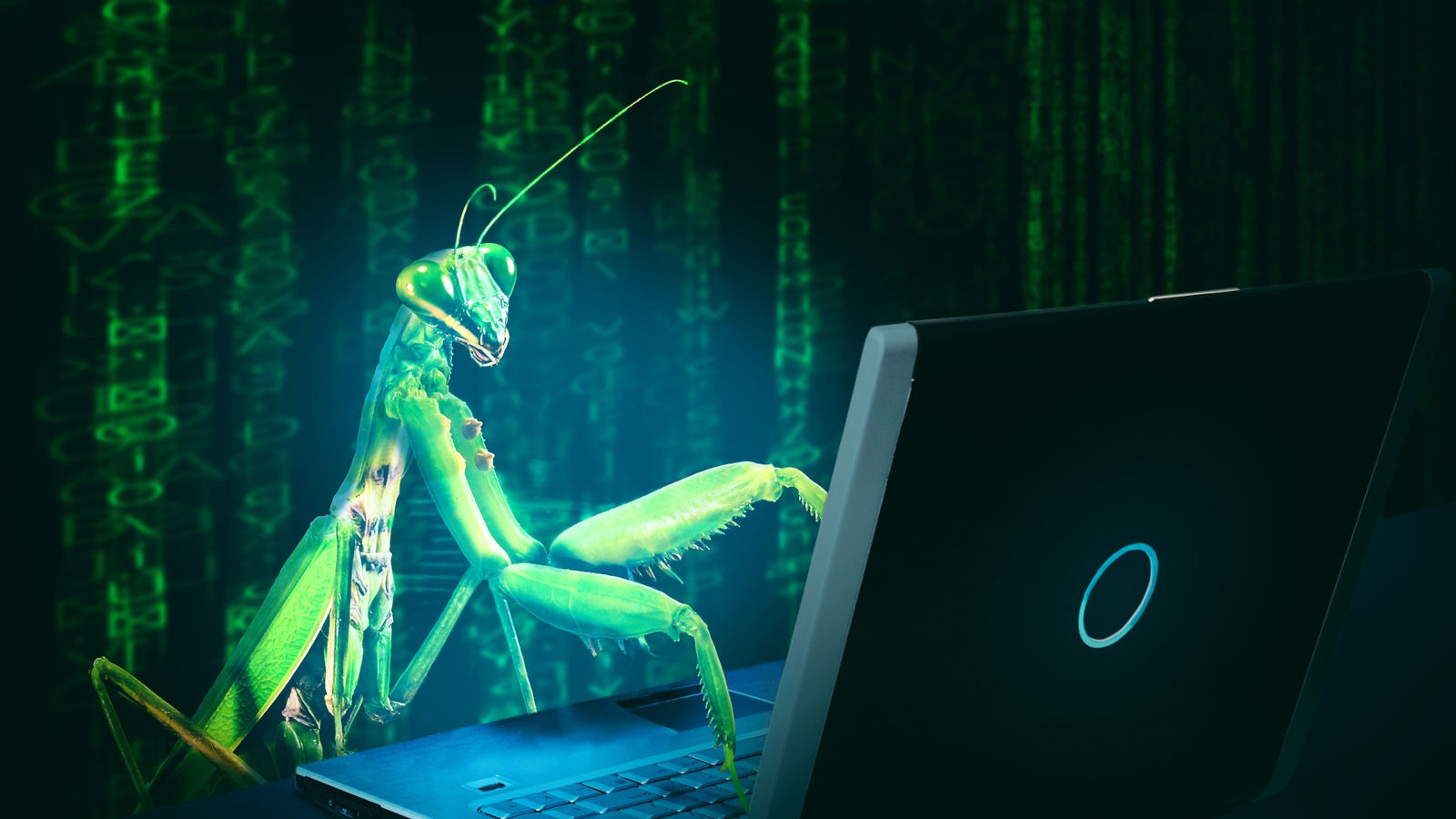 CISA urges admins to patch critical Discourse code execution bug – BU-CERT CISA urges admins to patch critical Discourse code execution bug – BU-CERT