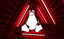 Kali Linux 2024.1 released with 4 new tools, UI refresh