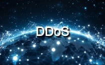Pro-Russia hacktivists bombard Dutch public orgs with DDoS attacks