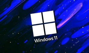 Windows 11