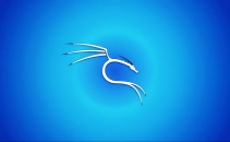 Kali Linux 2023.1 introduces 'Purple' distro for defensive security