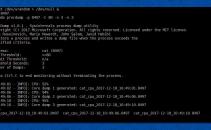 Largest Survey Ever Reveals World's Favorite Programming Language
