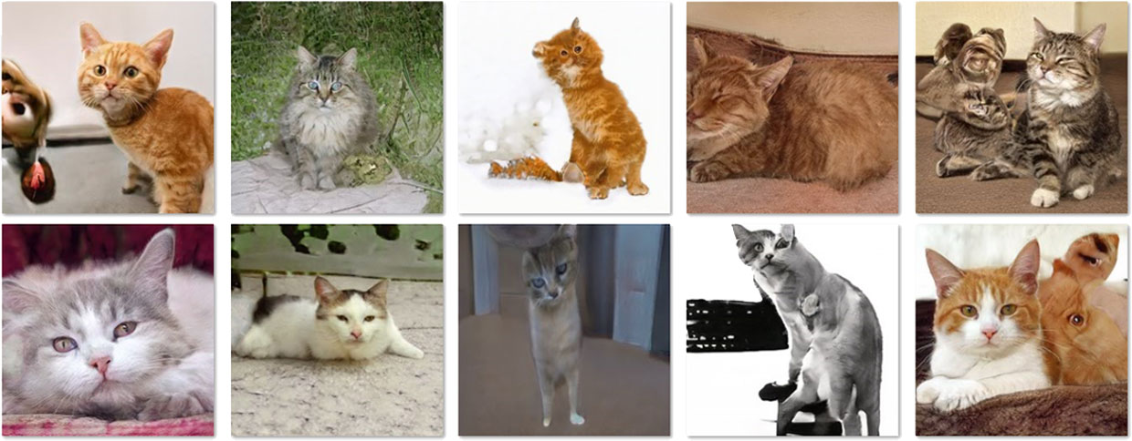 New AI-Powered Site Generates Horrific Images of Cats