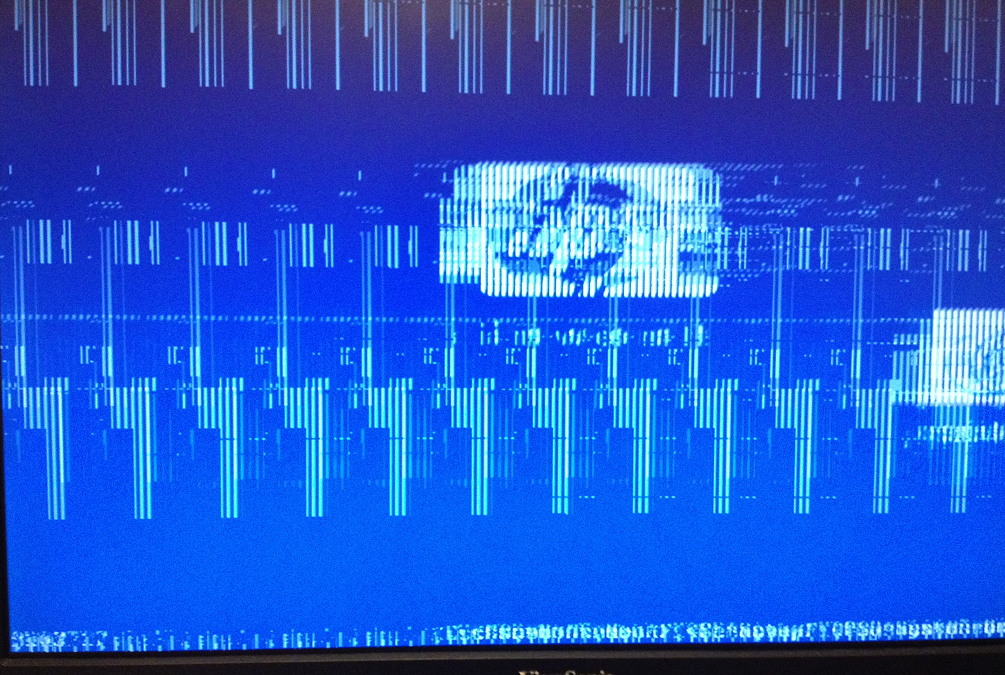 Monitor Shows Snow, Then Goes Black - Internal Hardware