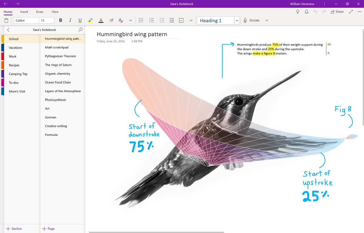 Microsoft Releases Huge OneNote Update for Windows 10