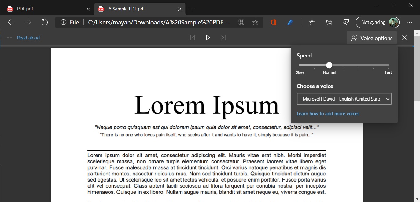 Microsoft Edge Canary now lets you read aloud your PDF files Microsoft Edge Canary now lets you read aloud your PDF files