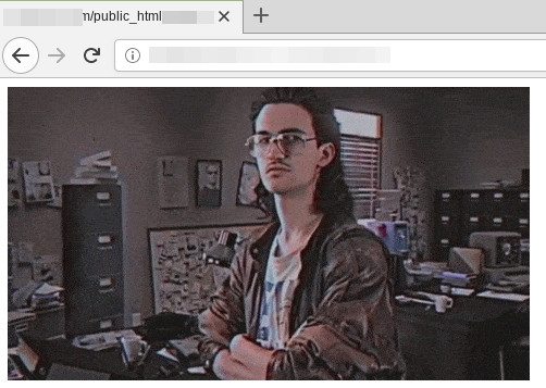 Emotet malware operation hacked to show memes to victims