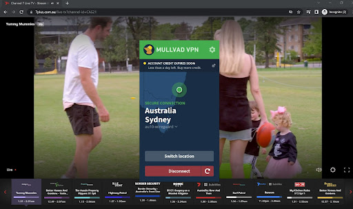 Mullvad Review 2025: Features, speed, unblocking, & more